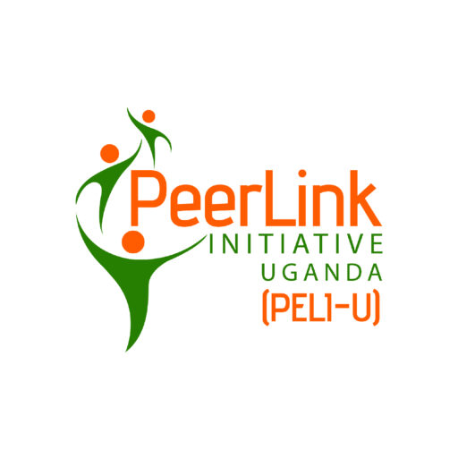Theory of Change - Peerlink Initiative